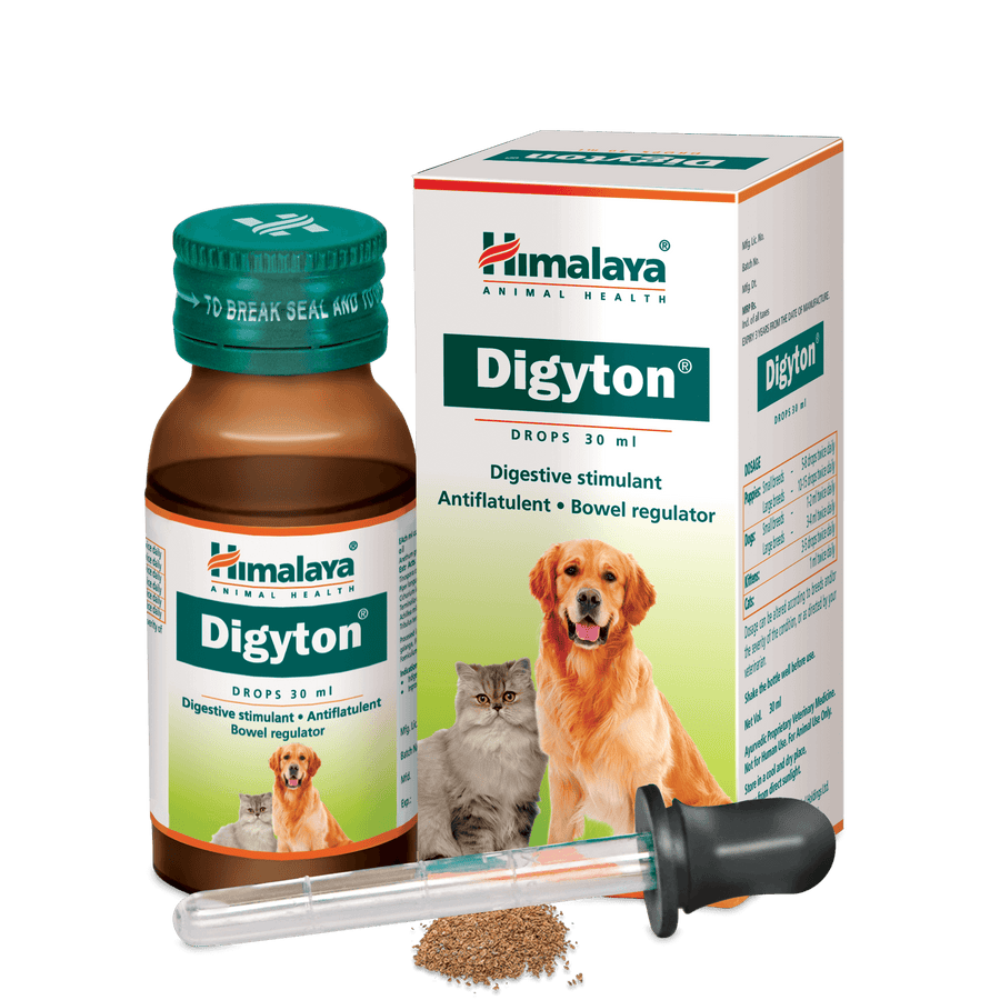 Himalaya Digyton - Digestive Stimulant & Bowel Regulator for Pets ...
